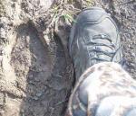 Moose Hunting Rifle | Our Recommendation for the Best Moose Caliber