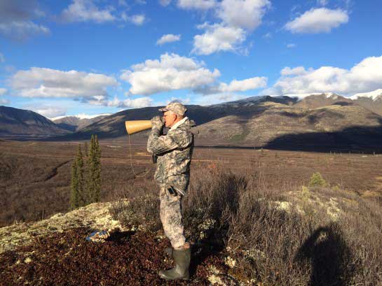 Moose Hunting Tips for the Novice and the Seasoned Hunter